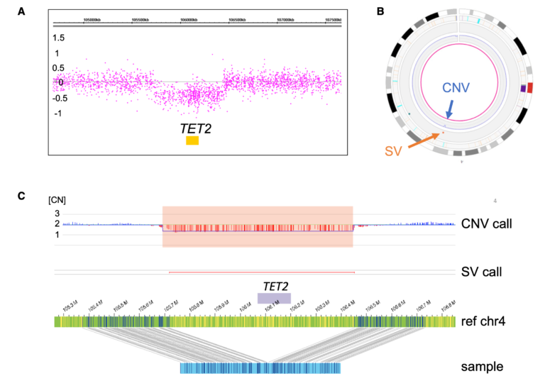 Back To Back Publications In The American Journal Of Human Genetics Compare Optical Genome