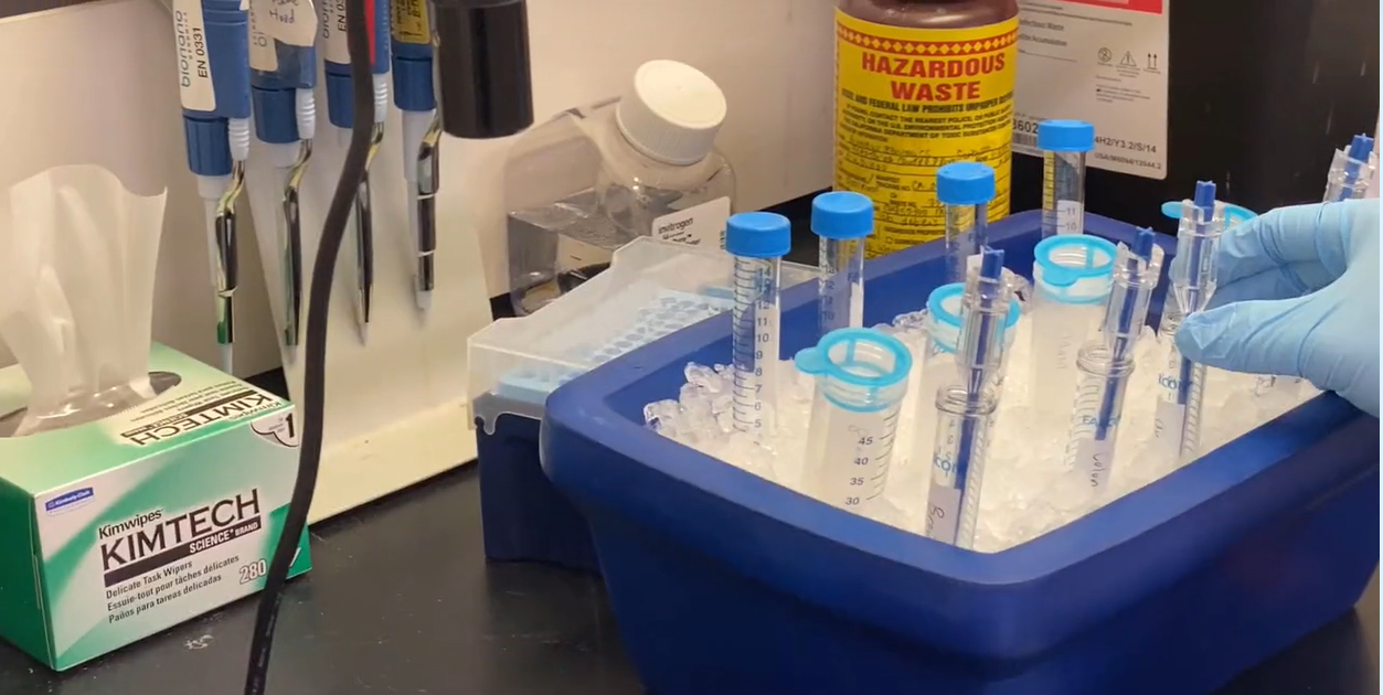 Bionano Prep SP Tissue and Tumor DNA Isolation Kit – Homogenization and ...