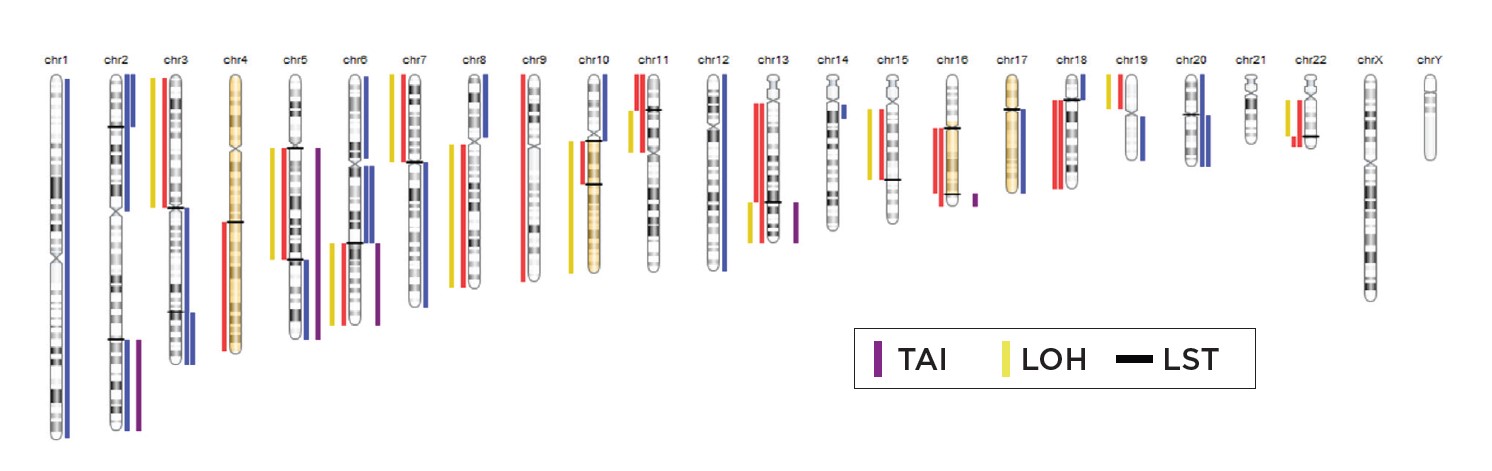 Impact Archives - bionanogenomics