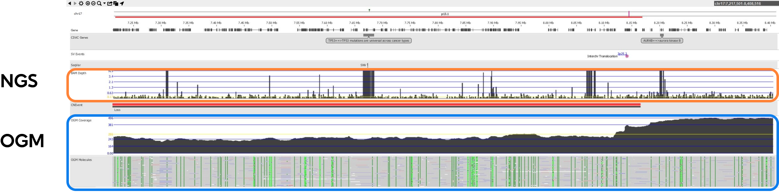 VIA Software Preview - bionanogenomics